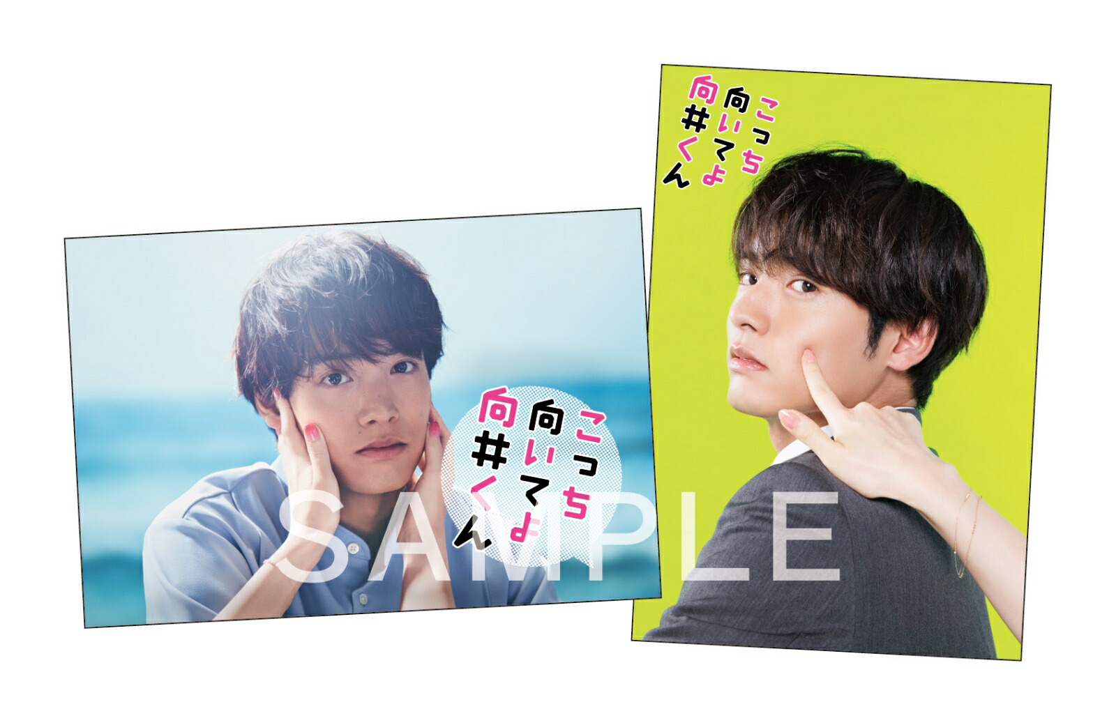 楽天ブックス 【先着特典】こっち向いてよ向井くん Dvd Box オリジナルポストカード2枚セット 赤楚衛二